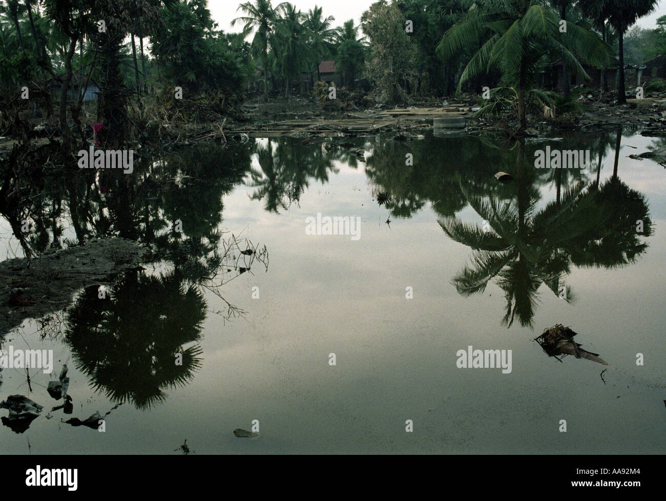DEVASTATION AFTER THE TIDAL WAVE OF THE TSUNAMI HIT THE KALMUNAI ...