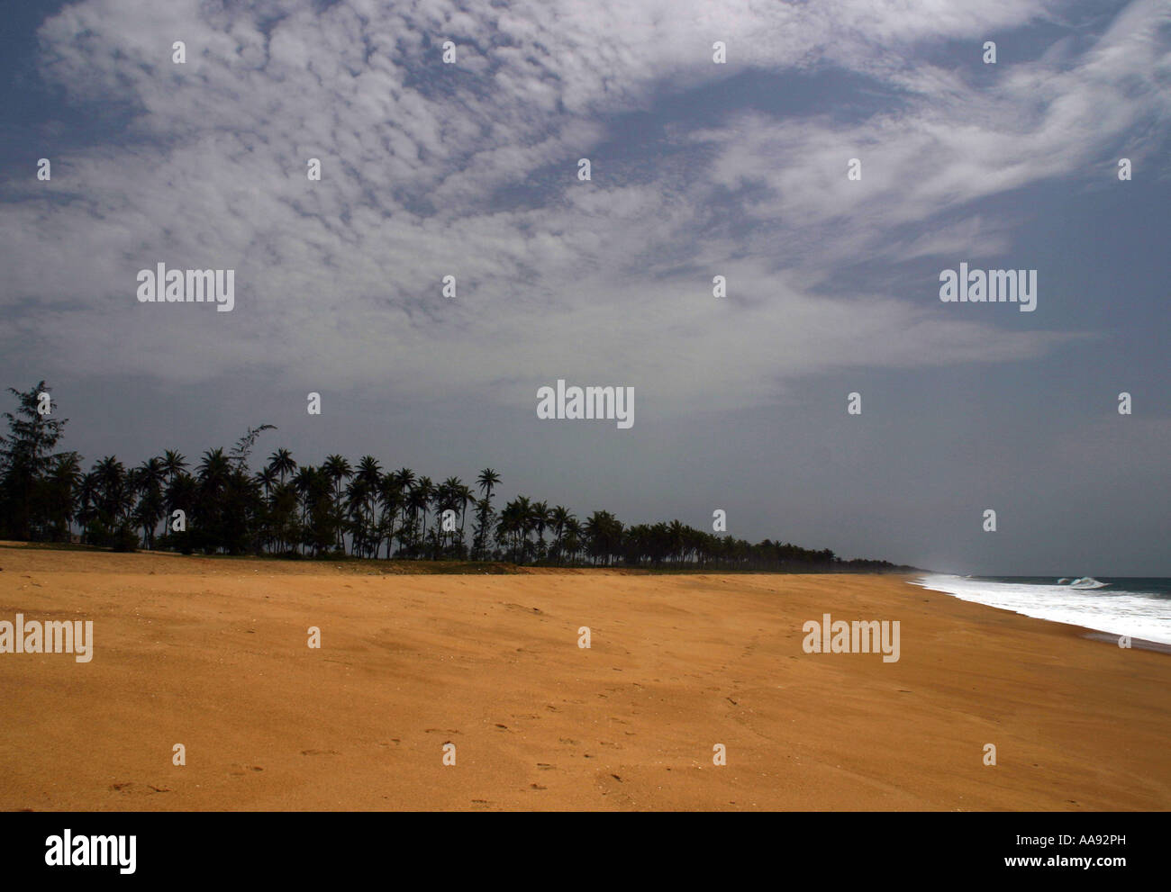 A beach in Benin Stock Photo - Alamy