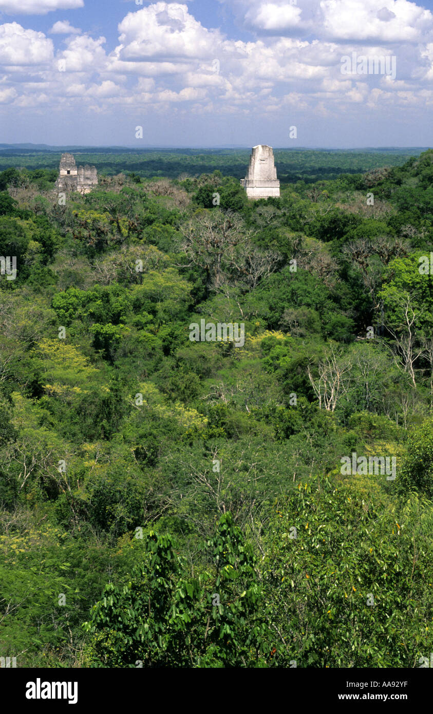 Pyramids Mayan ruins of Tikal Guatemala Stock Photo - Alamy
