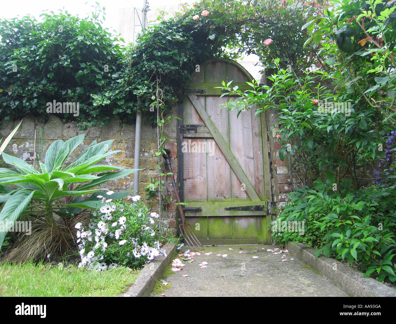 Cornish Path Moss High Resolution Stock Photography and Images - Alamy