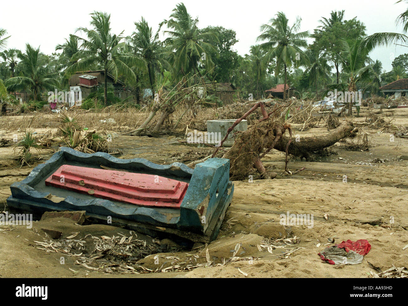 DEVASTATION AFTER THE TIDAL WAVE OF THE TSUNAMI HIT THE KALMUNAI ...