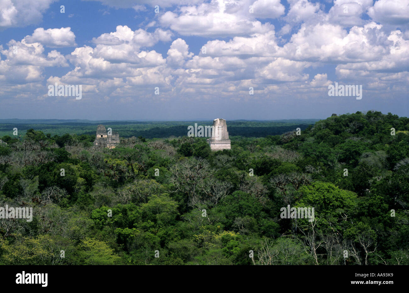 Pyramids Mayan ruins of Tikal national park Guatemala Stock Photo - Alamy