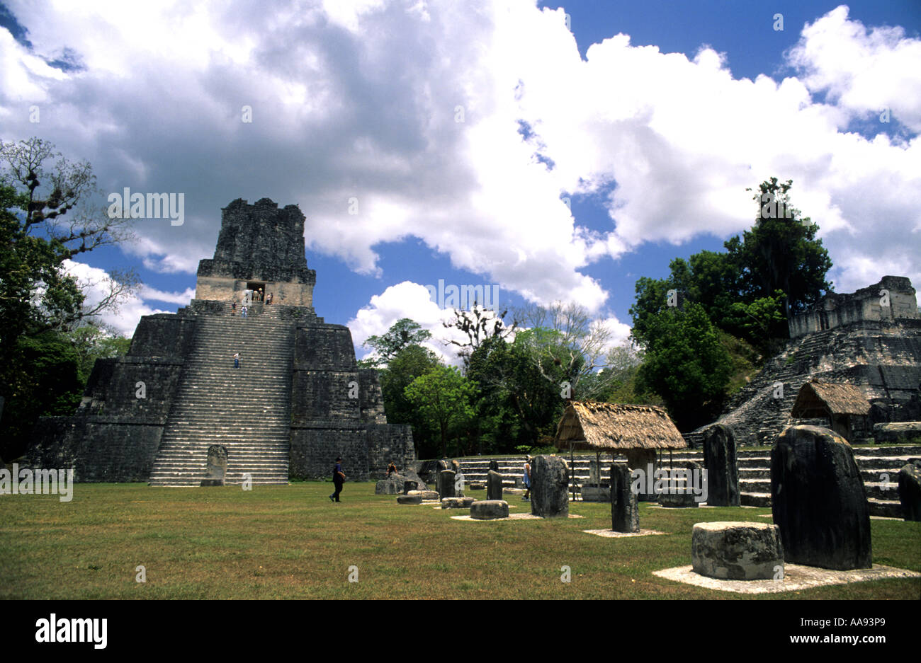 Temple II Mayan ruins of Tikal national park Peten region Guatemala ...