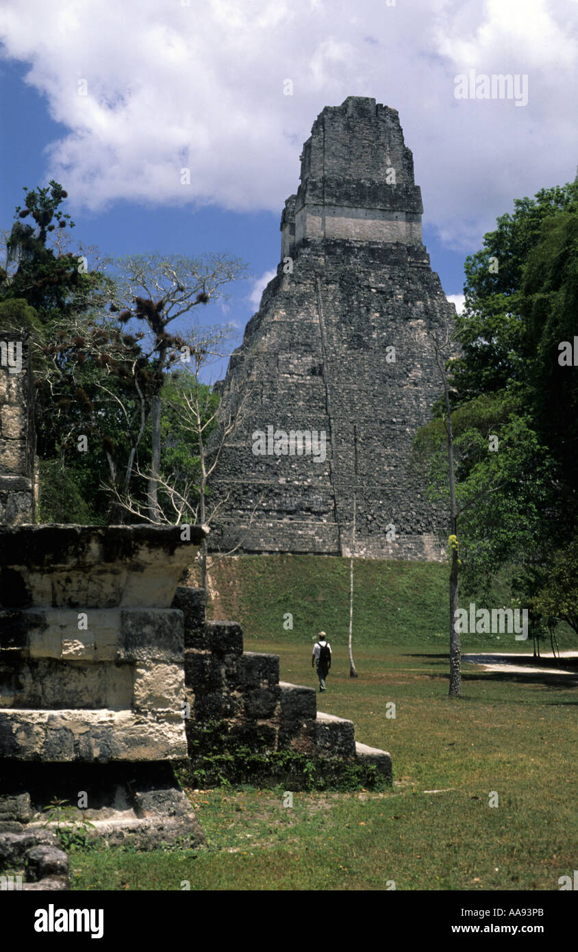 Temple I Great Jaguar Mayan ruins of Tikal national park Peten region ...