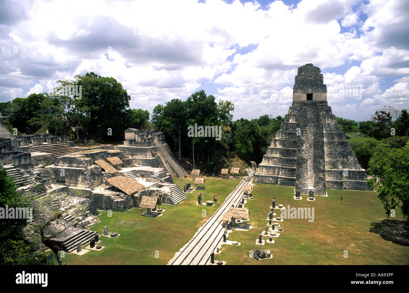 Temple I Great Jaguar Mayan ruins of Tikal national park Peten region ...