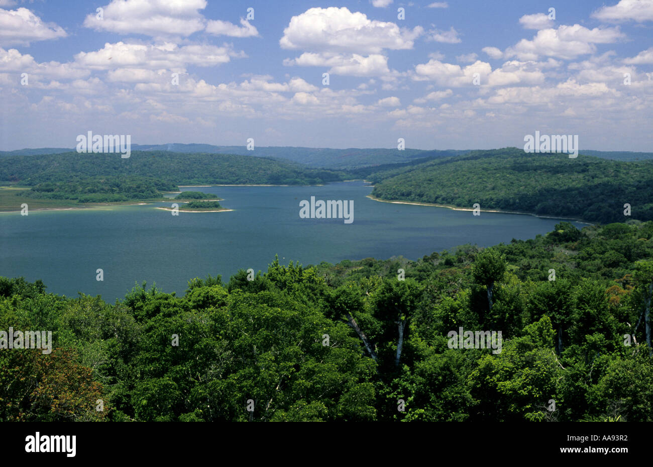 Yaxha jungle hi-res stock photography and images - Alamy