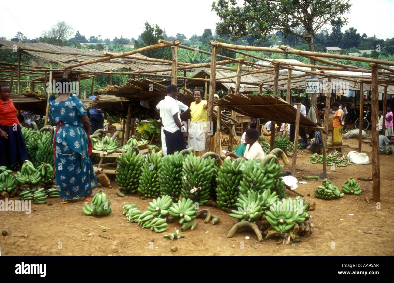 Bananas in uganda hi-res stock photography and images - Alamy