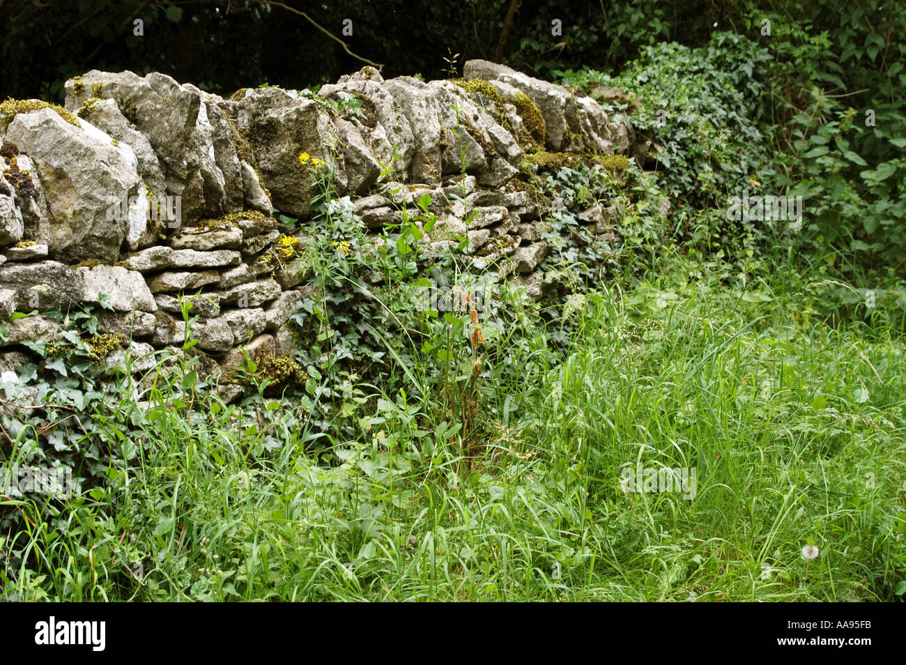 Cotswold stone wall Stock Photo - Alamy