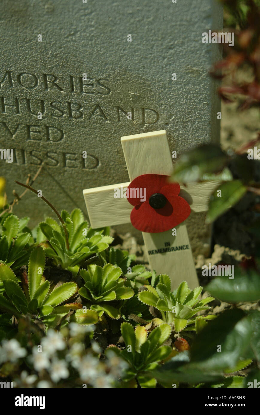 A POPPY ON A CROSS IS SEEN BESIDES THE GRAVE OF A BRITISH SOLDIER IN A ...