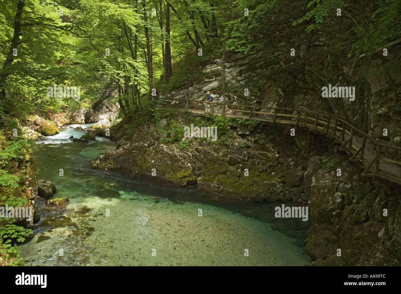 Slovenia Triglav National Park Vintgar Gorge near Bled MR Stock Photo ...