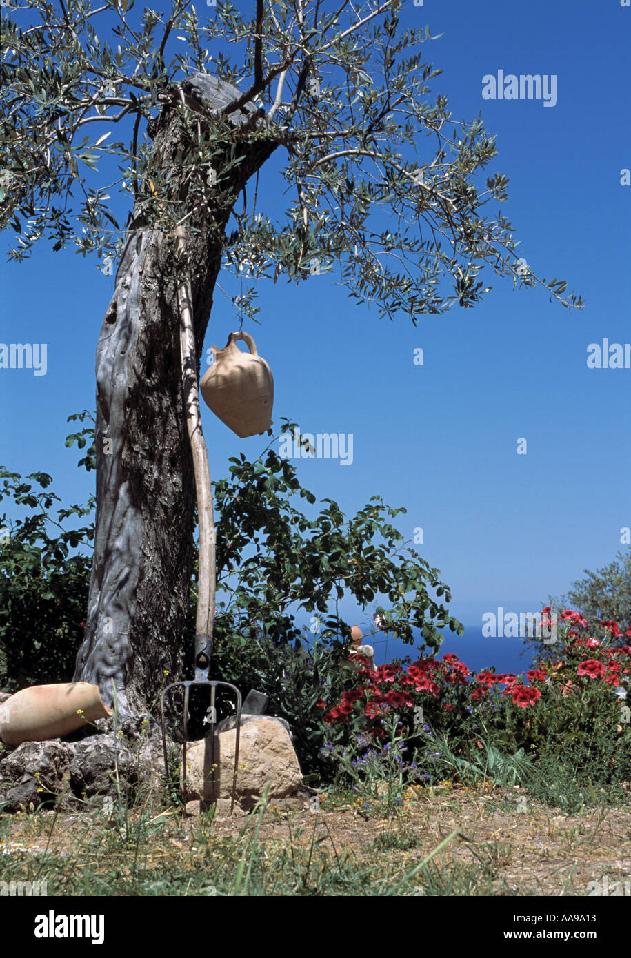 Karmi cyprus hi-res stock photography and images - Alamy