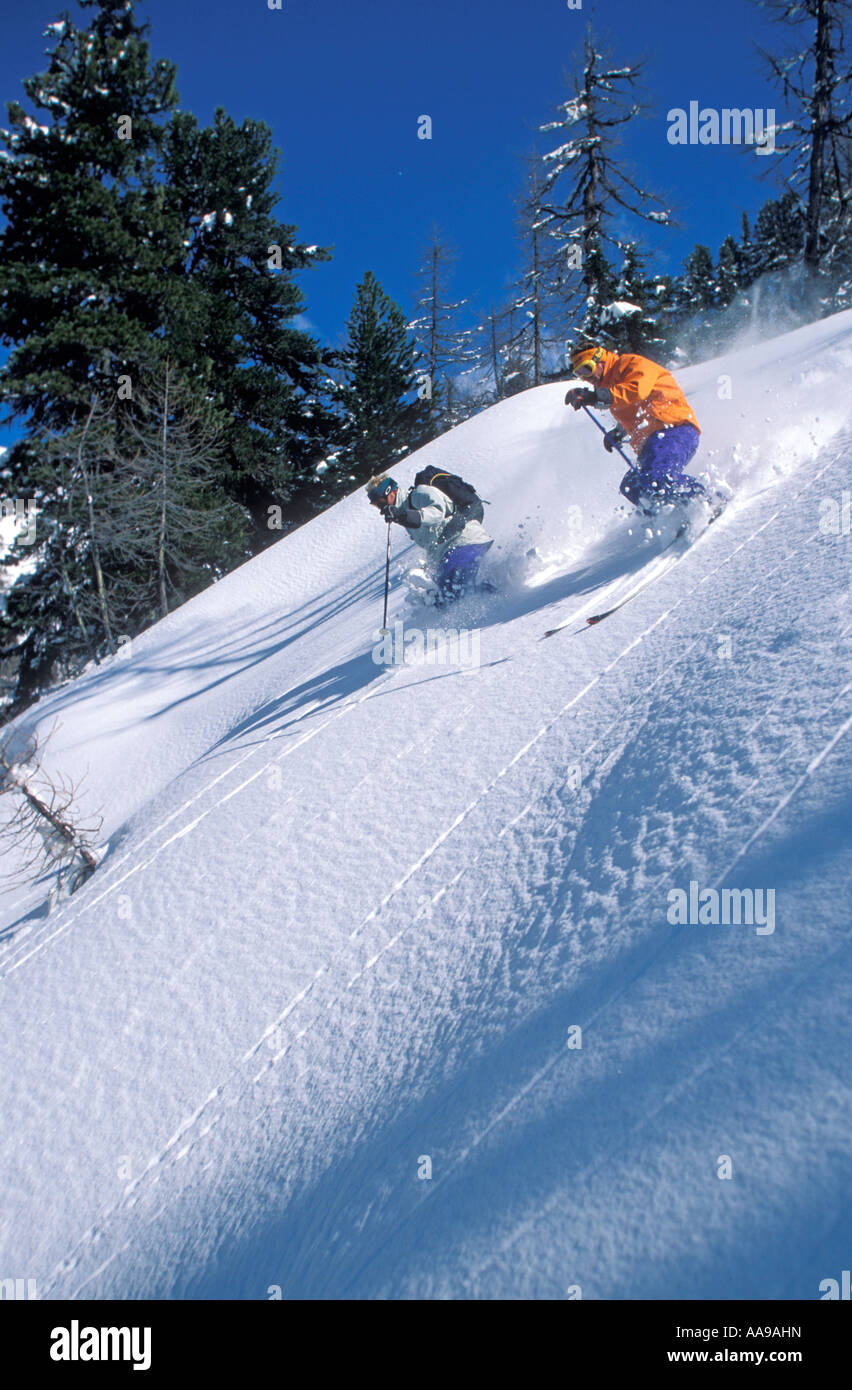 Two male skiers Nick Yates and Gareth Robson off piste among the trees ...