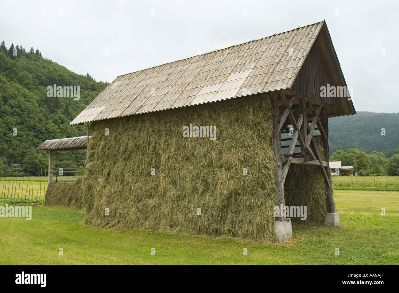Slovenia Studor small farm village near Bled double hayrack called a ...