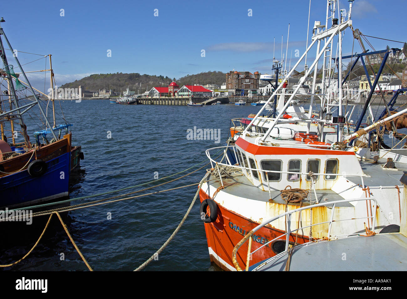 Fishing boats lined up in Oban harbour with the restored North Pier in ...