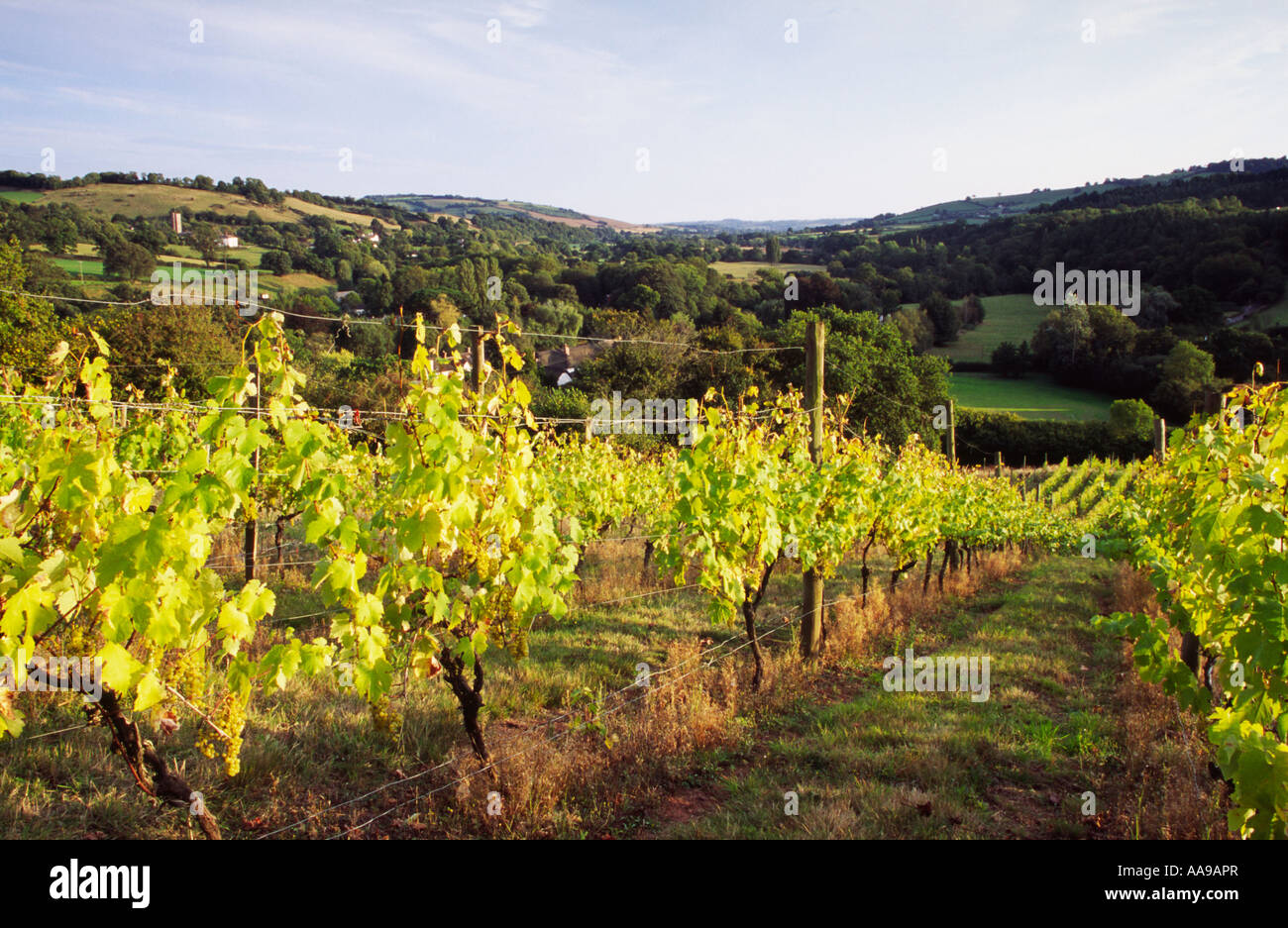 Bickleigh Church High Resolution Stock Photography and Images - Alamy