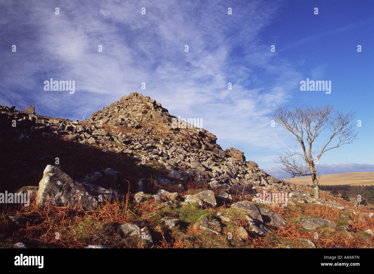Leather Tor, Dartmoor National Park, Devon, England, UK Stock Photo - Alamy
