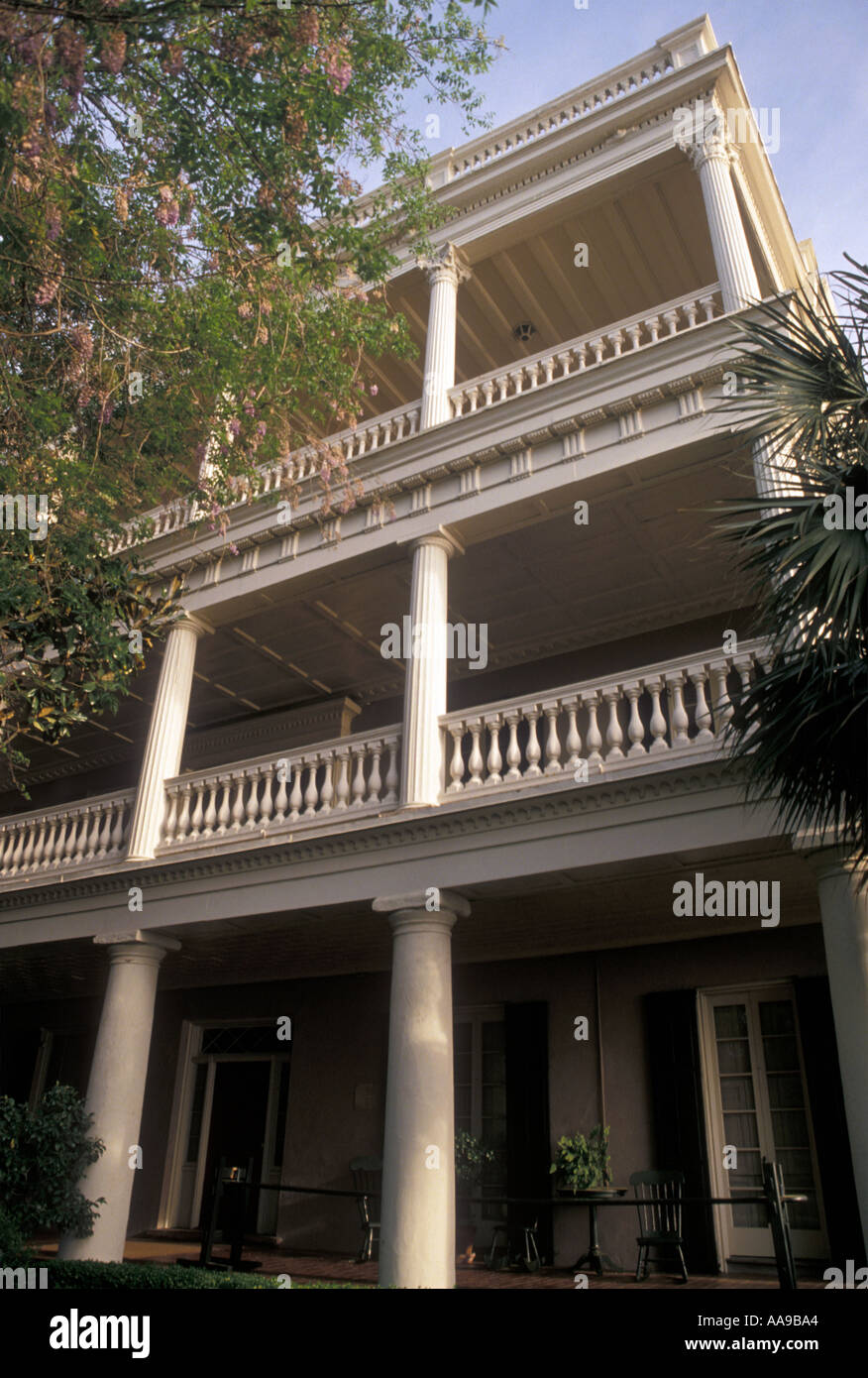 Charleston edmondston alston hi-res stock photography and images - Alamy