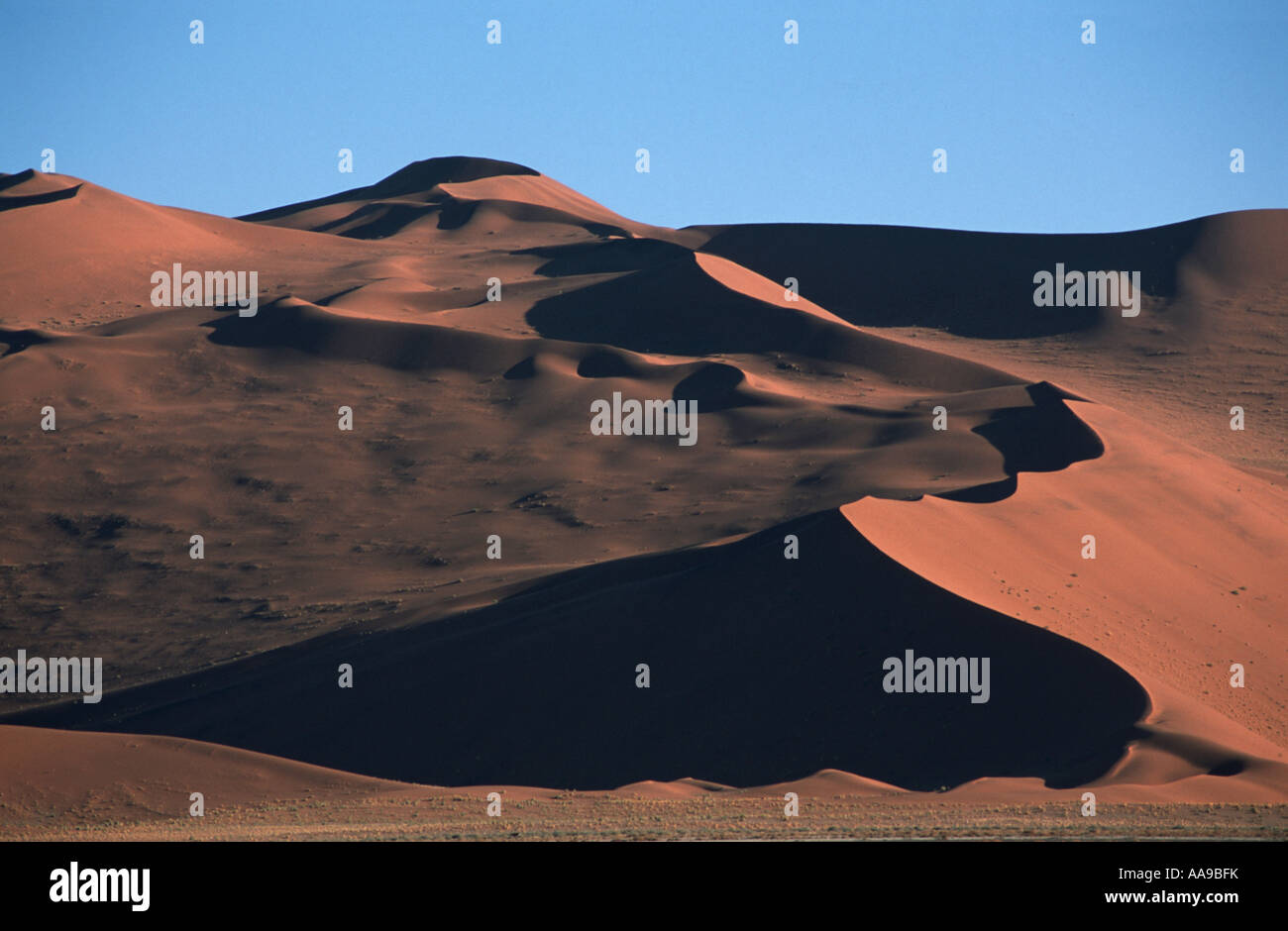 Sand dunes at sunrise Namib Naukluft National Park en route to Dune 45 ...