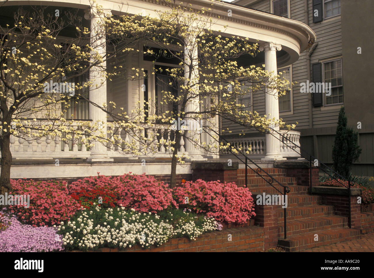 Virginia stock flowers hi-res stock photography and images - Alamy