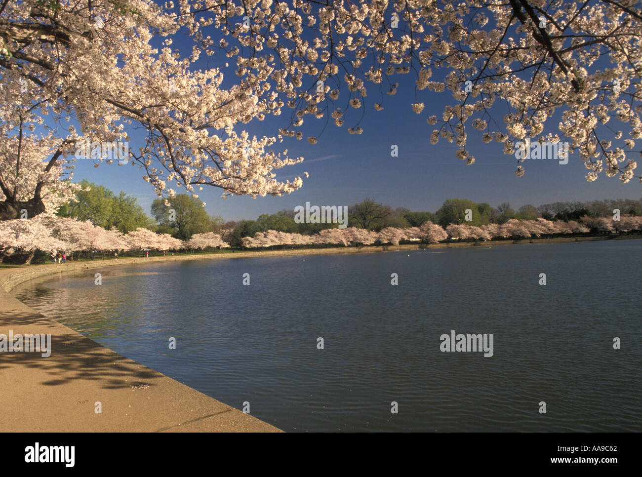 Tidal pond washington dc hi-res stock photography and images - Alamy