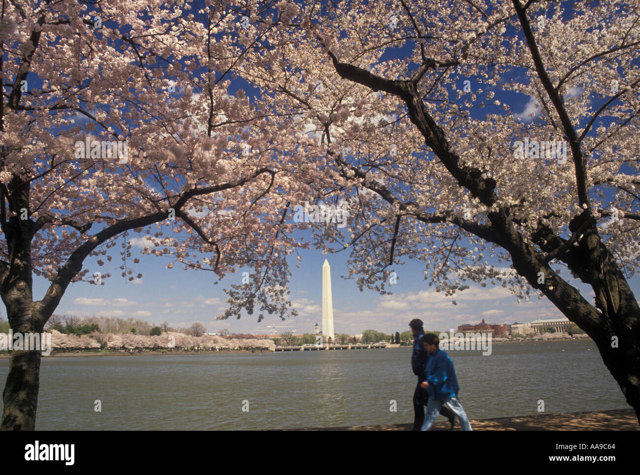 Washington dc spring photos hi-res stock photography and images - Alamy