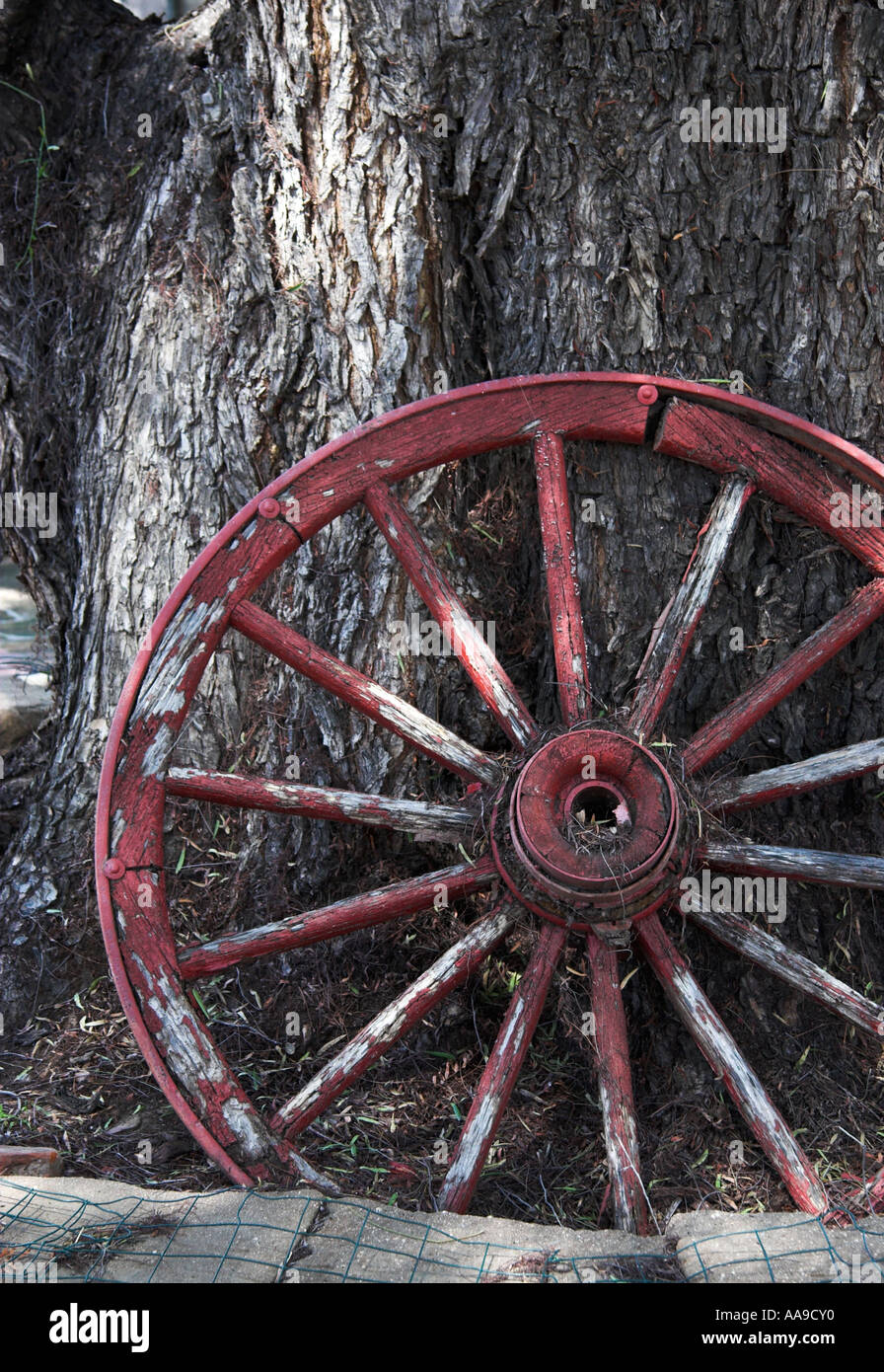 An old wagon wheel against a tree trunk, Mission Asistencia San Antonio ...