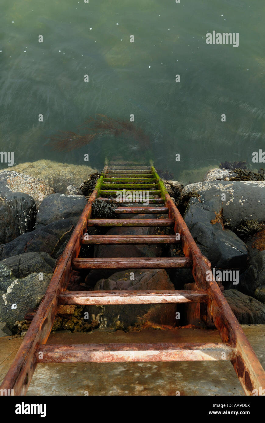 Ladder going into the sea Stock Photo - Alamy