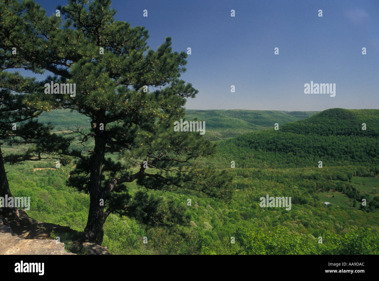 Ozark plateau hi-res stock photography and images - Alamy