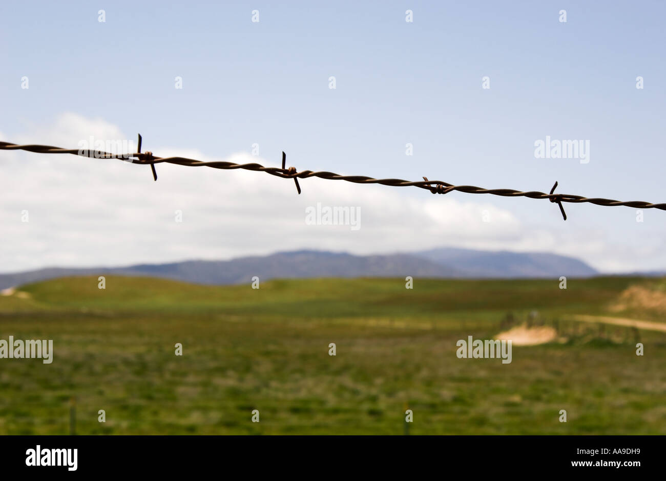 Pretty barbed wire hi-res stock photography and images - Alamy