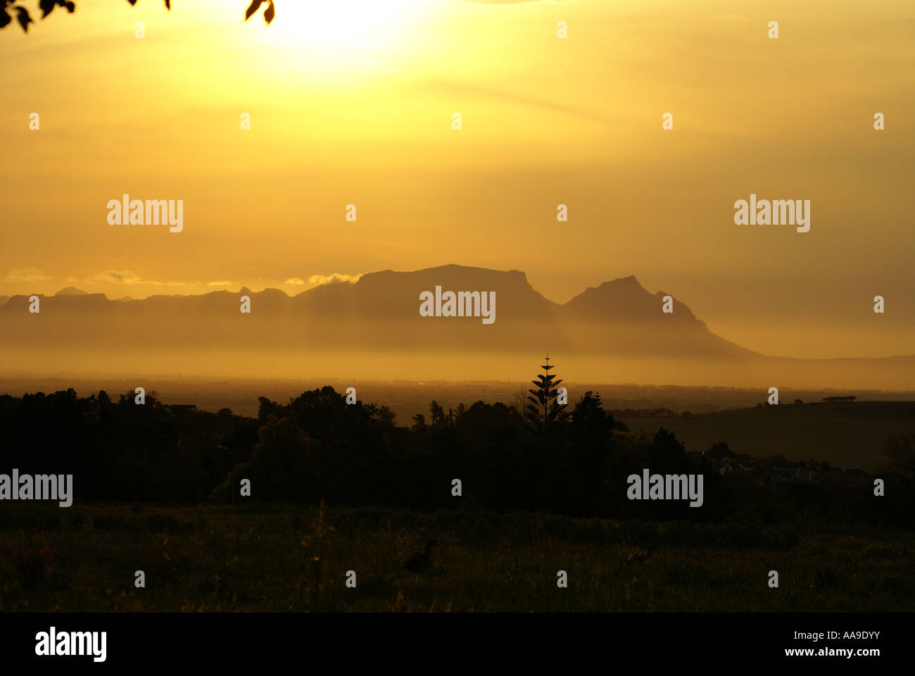 Golden sunset over Table Mountain taken from Somerset West Stock Photo ...