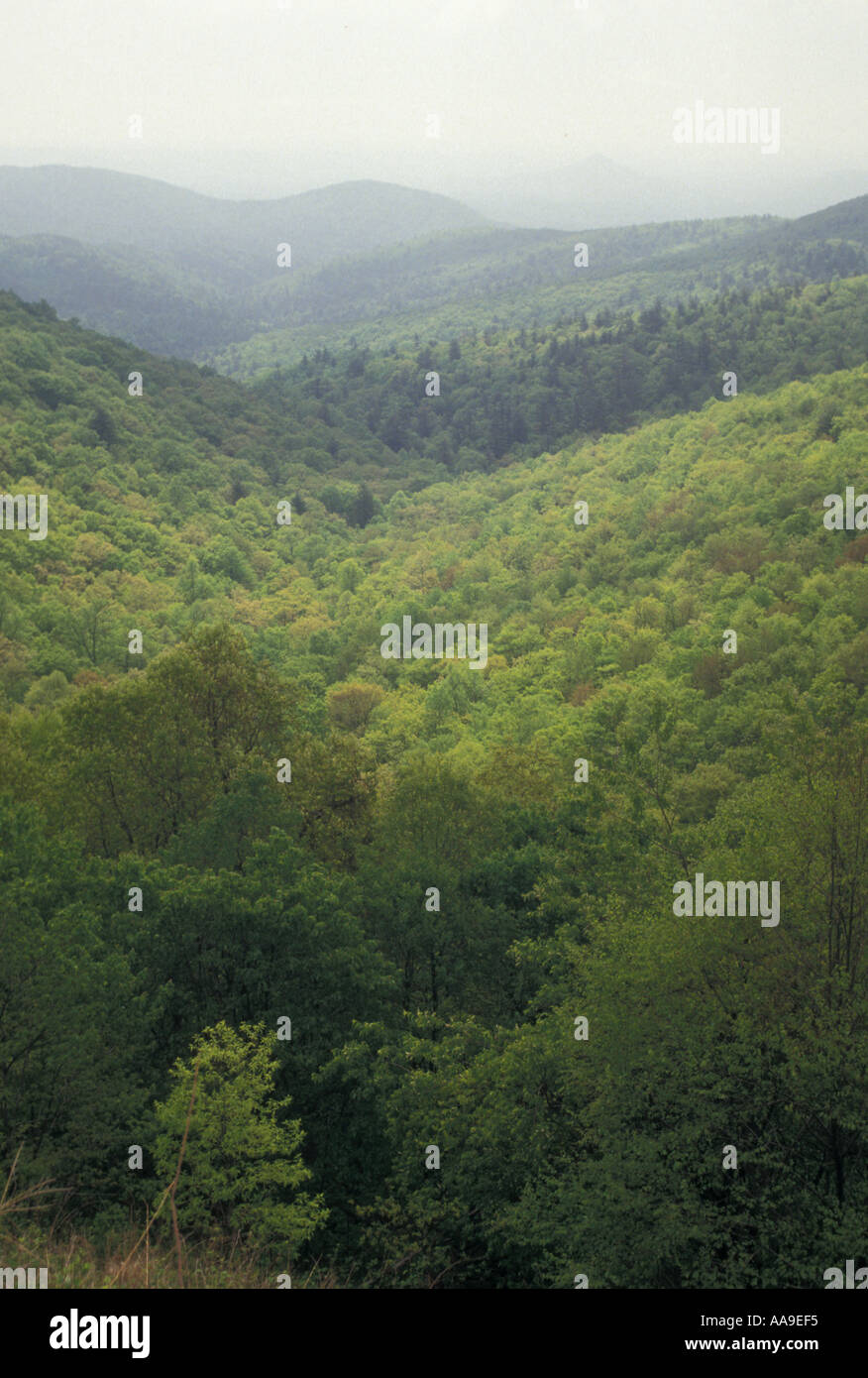 Georgia scenic byway hi-res stock photography and images - Alamy