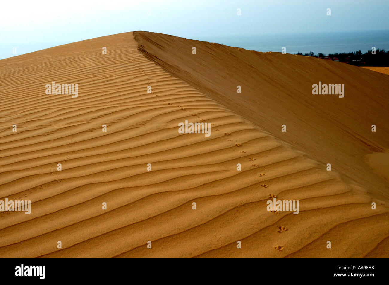 Red Sand dunes near Mui Ne, Vietnam Stock Photo - Alamy