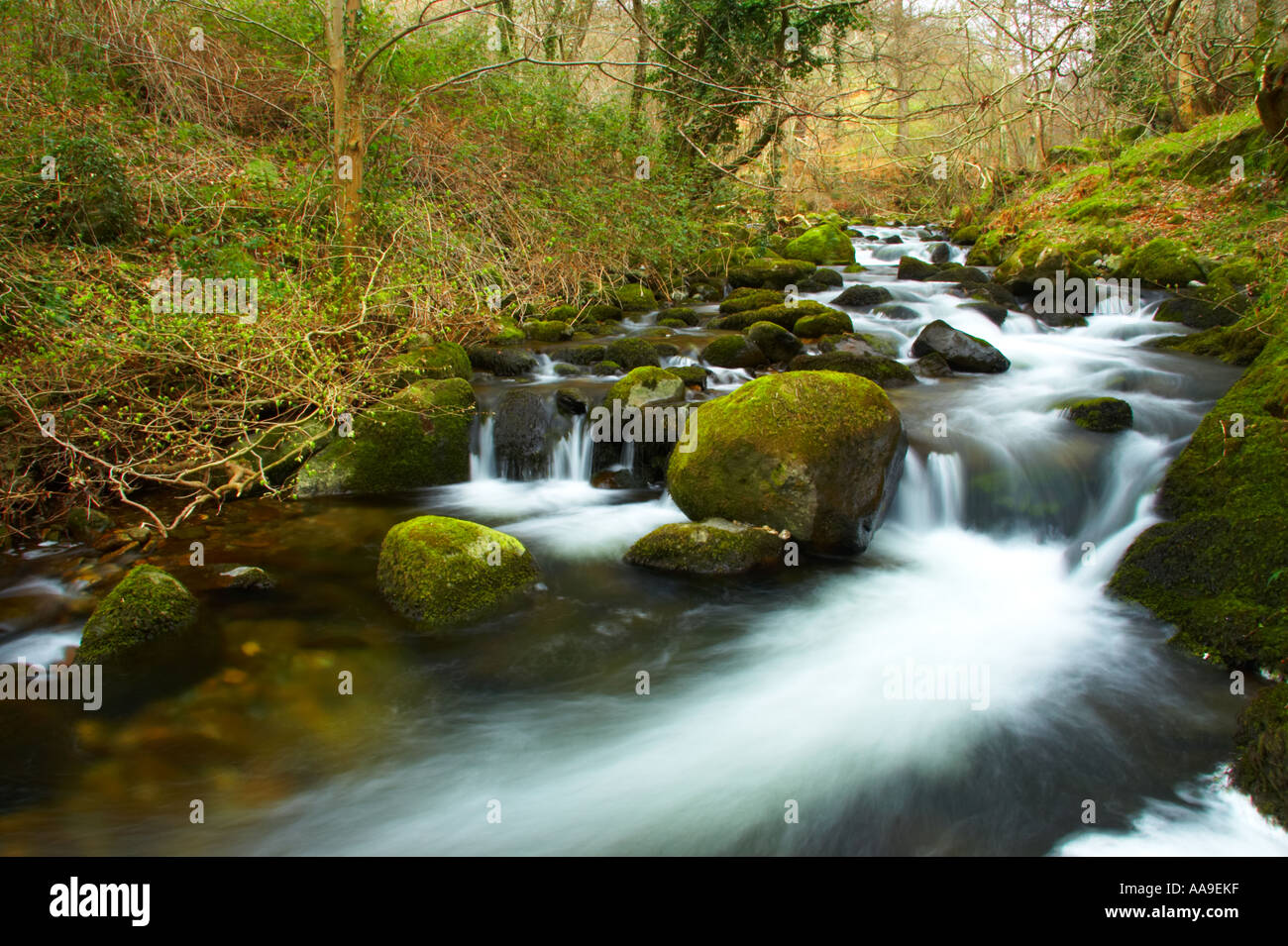 Wales Caernarfonshire Snowdonia National Park The Afon Anaton river ...