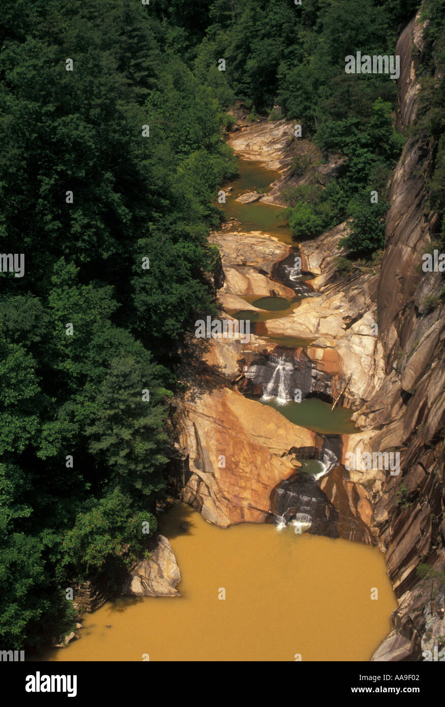 Chattahoochee national forest hiking hi-res stock photography and ...