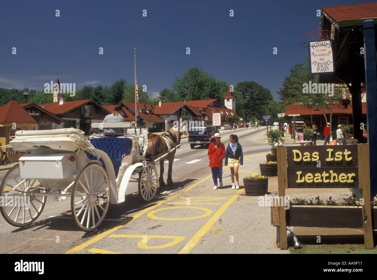 Helen georgia carriage horse hi-res stock photography and images - Alamy
