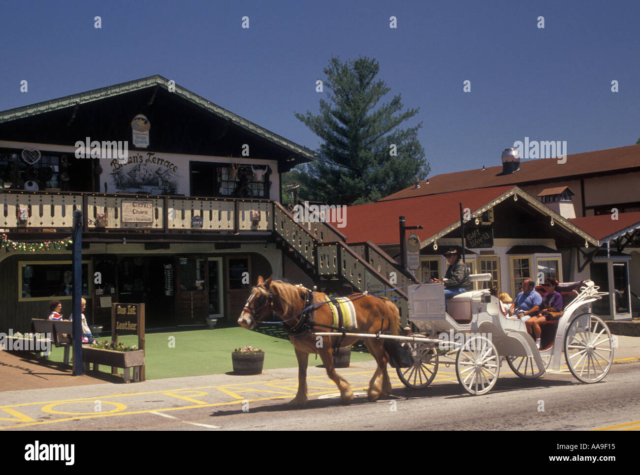 Helen georgia carriage horse hi-res stock photography and images - Alamy