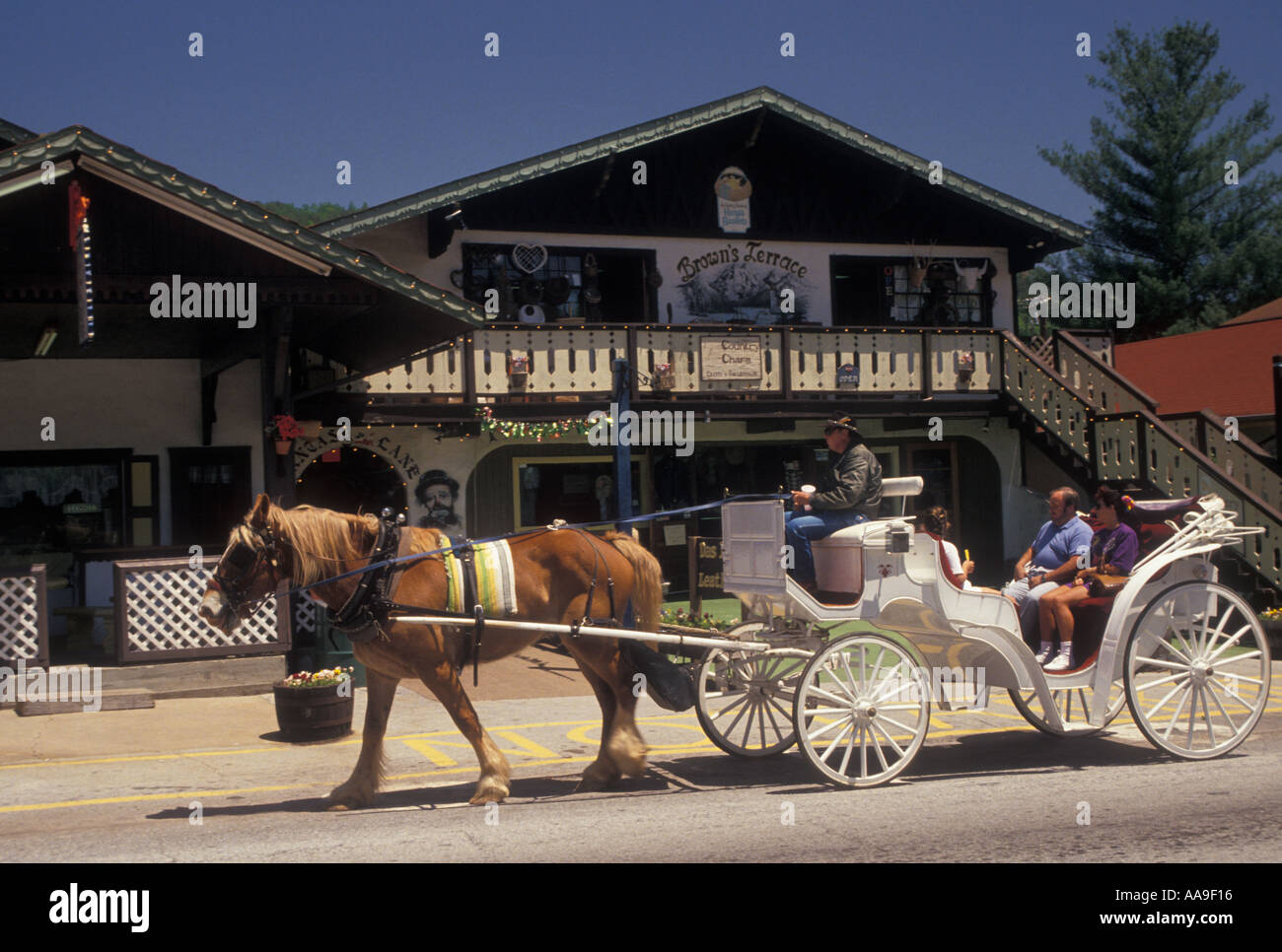 Helen georgia carriage horse hi-res stock photography and images - Alamy
