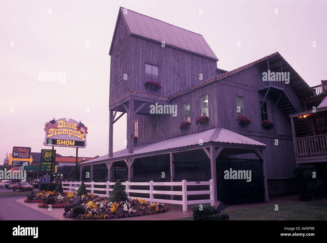 Western stock pigeon hi-res stock photography and images - Alamy