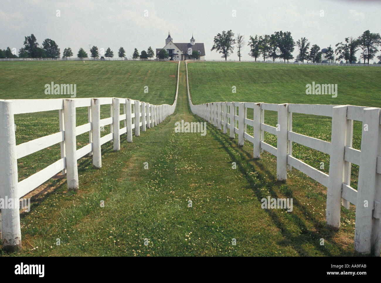 Rolling landscape kentucky bluegrass hi-res stock photography and ...