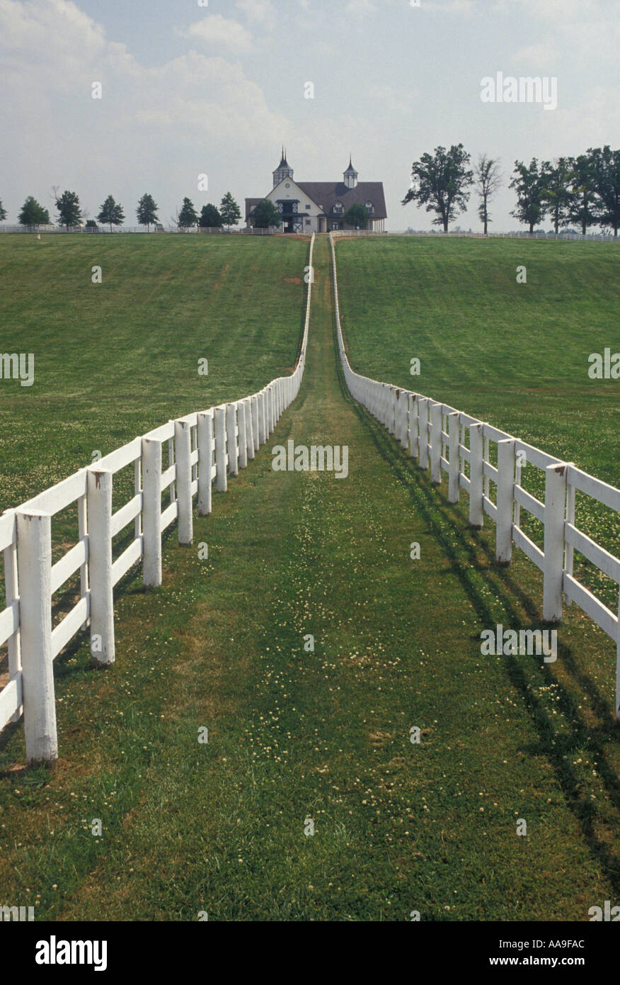 Rolling landscape kentucky bluegrass hi-res stock photography and ...