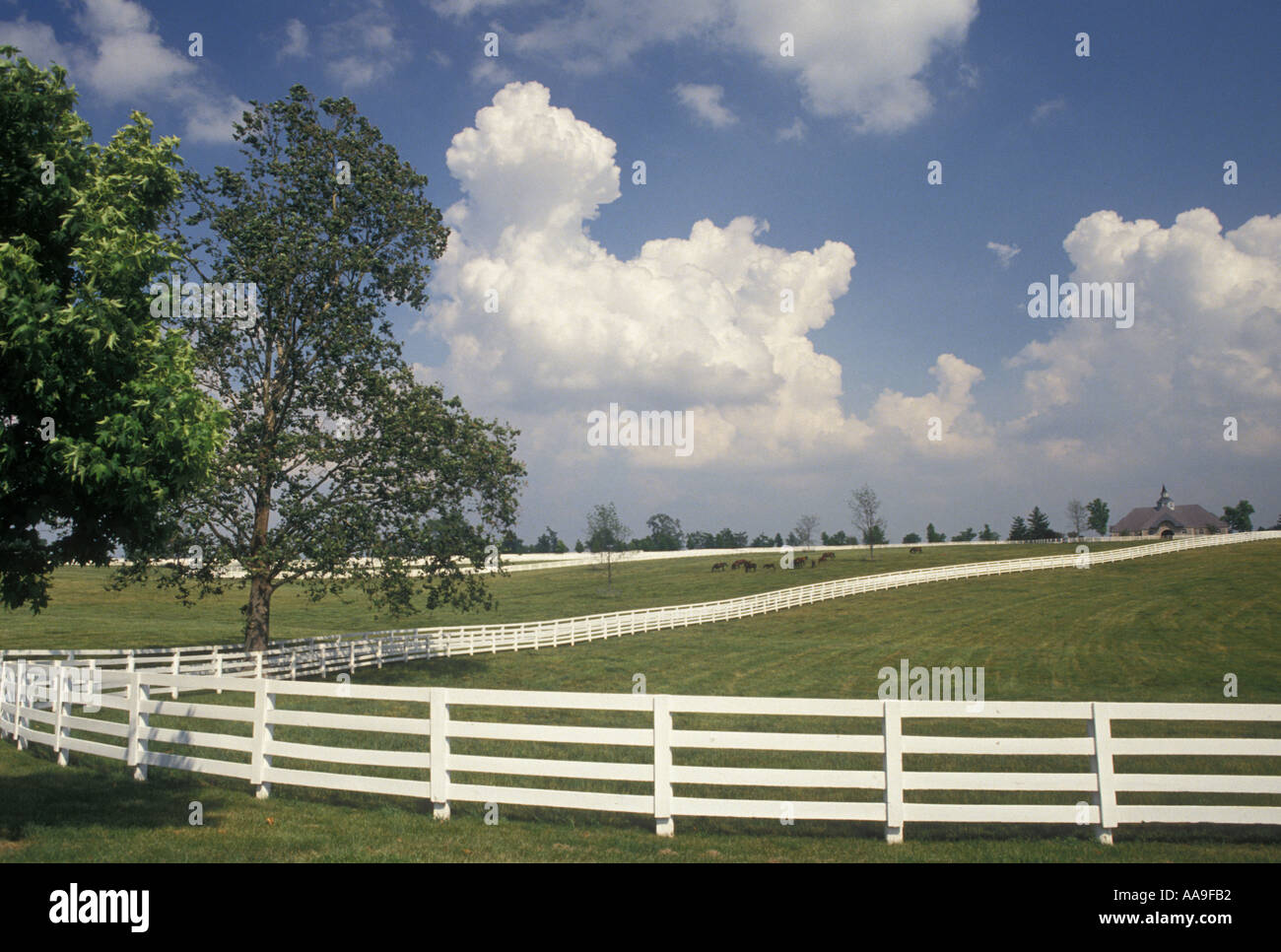 Rolling landscape kentucky bluegrass hi-res stock photography and ...