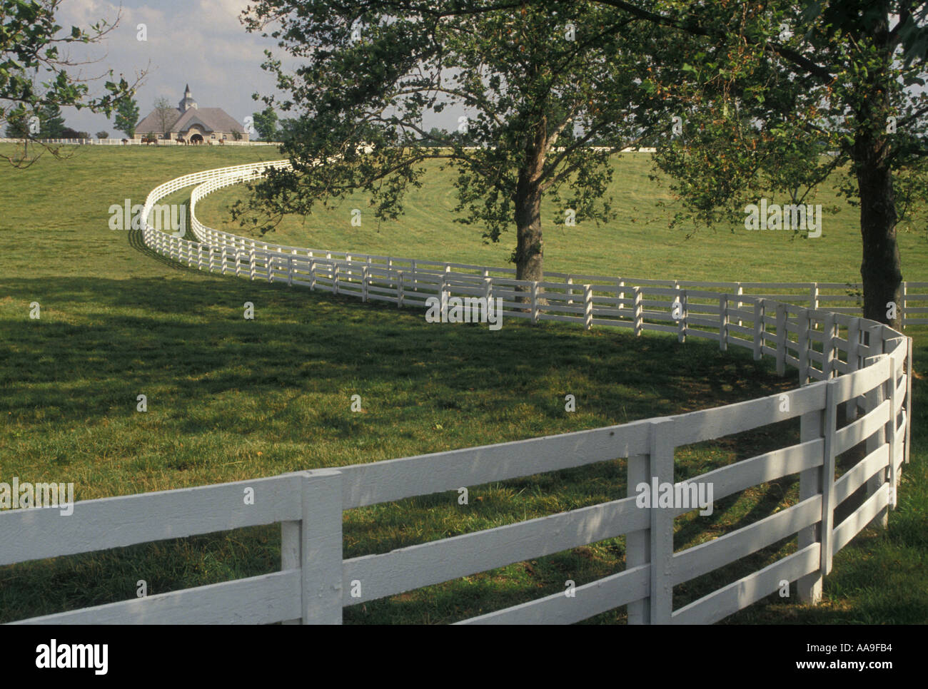 Rolling landscape kentucky bluegrass hi-res stock photography and ...