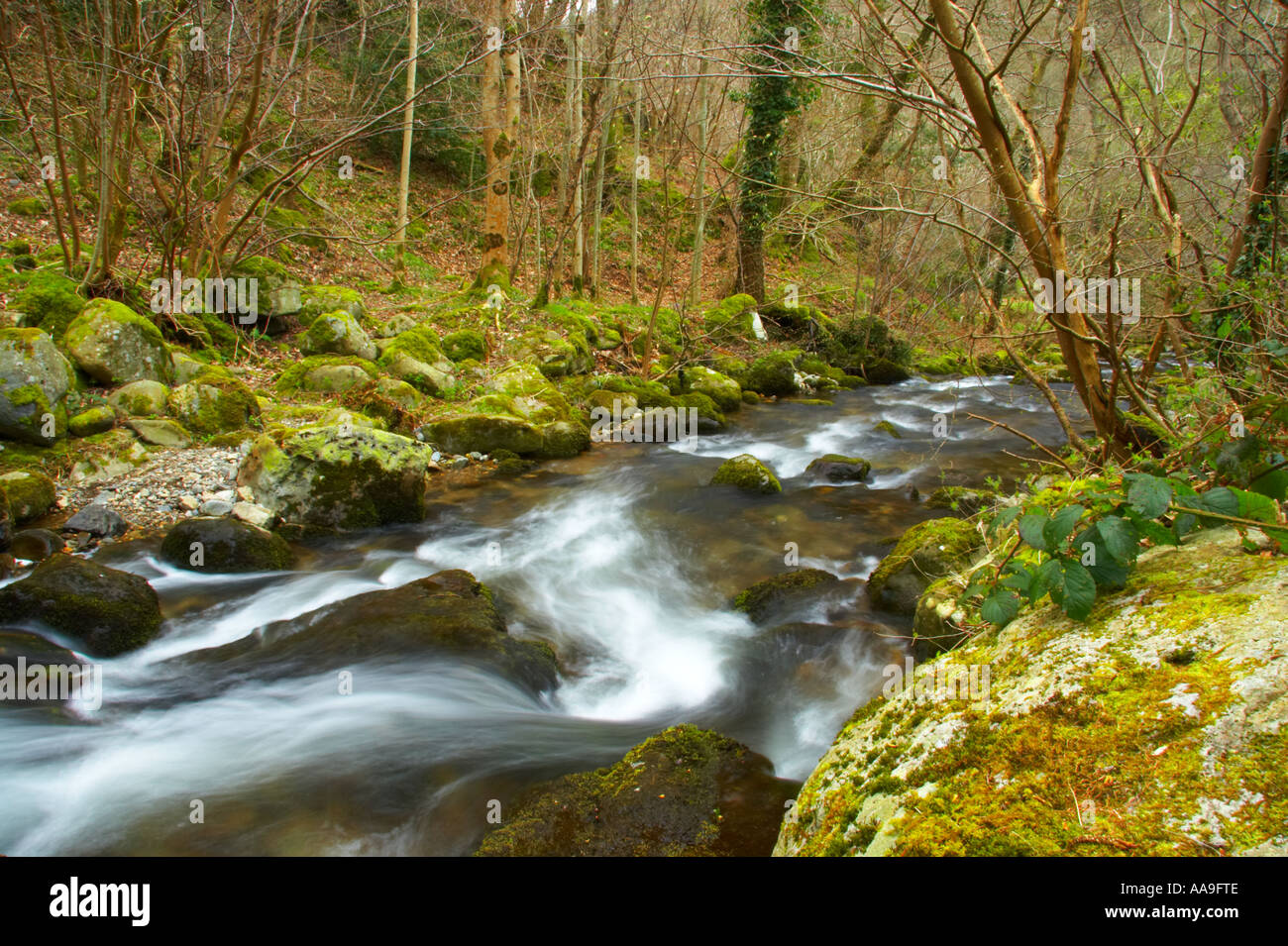 Wales Caernarfonshire Snowdonia National Park The Afon Anaton river ...