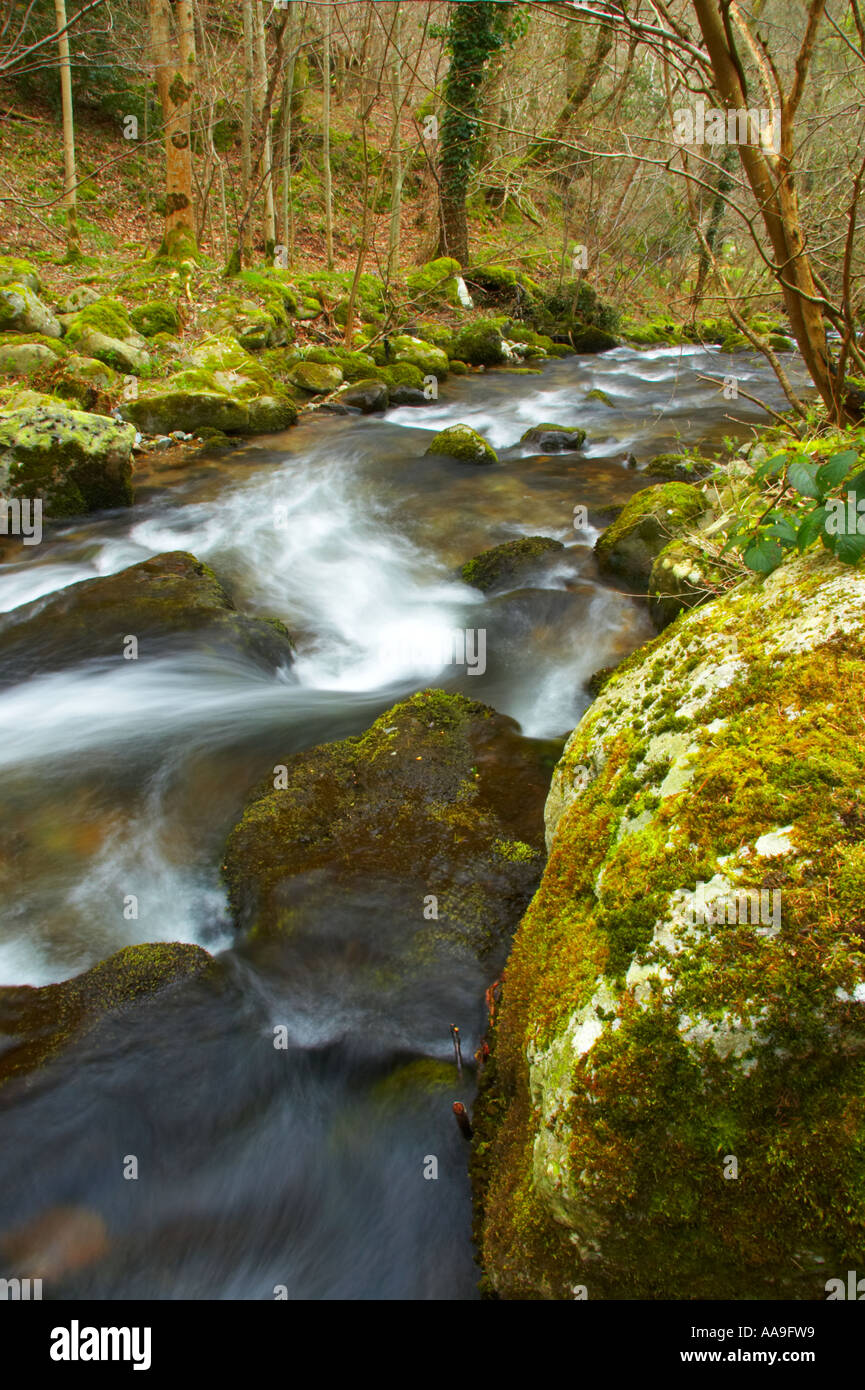 Wales Caernarfonshire Snowdonia National Park The Afon Anaton river ...