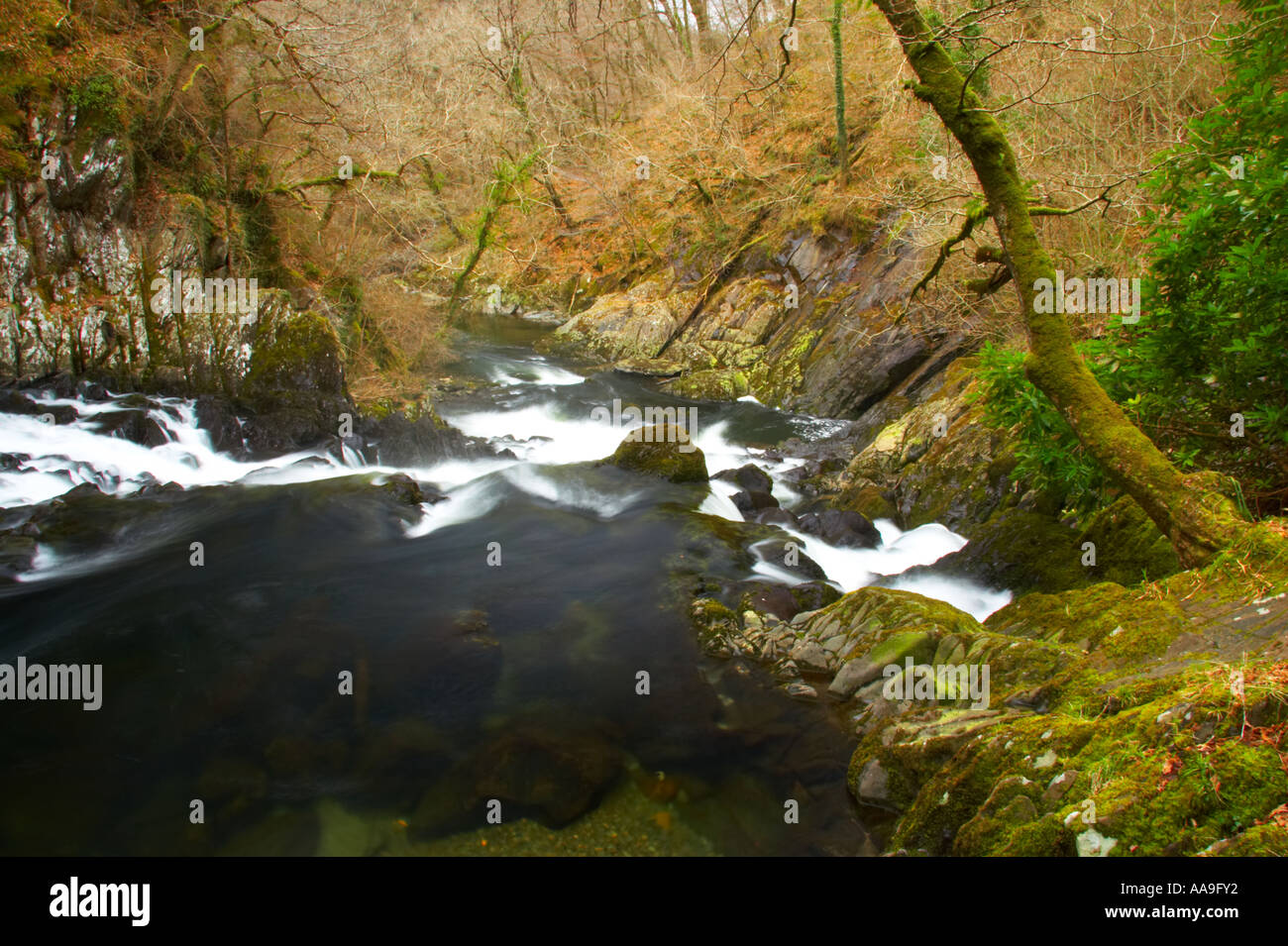 Wales Caernarfonshire Snowdonia National Park Gorge downstream of the ...