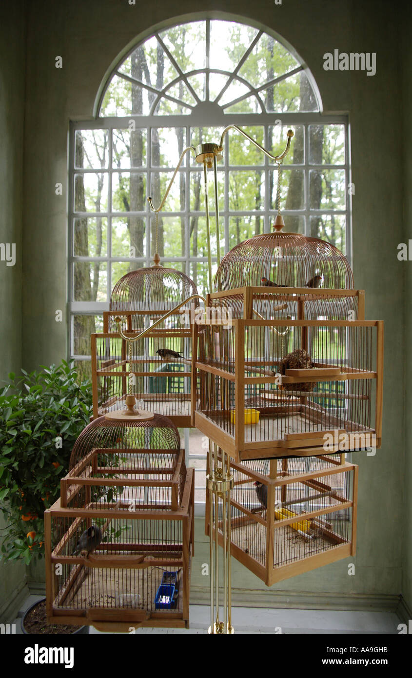 Birds in birdcages Stock Photo - Alamy