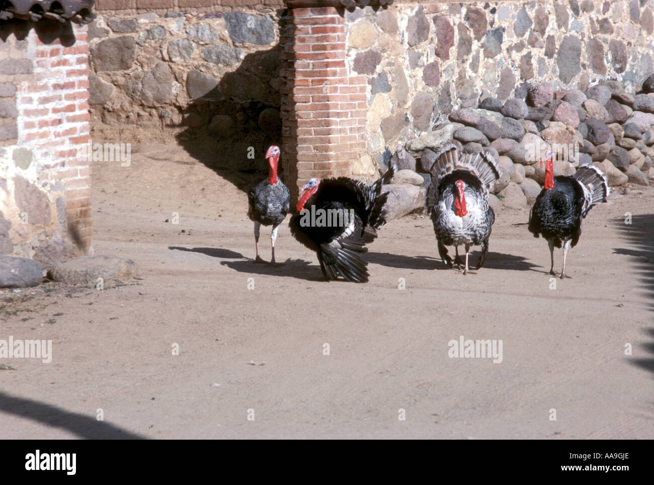 Unhurried walk hi-res stock photography and images - Alamy