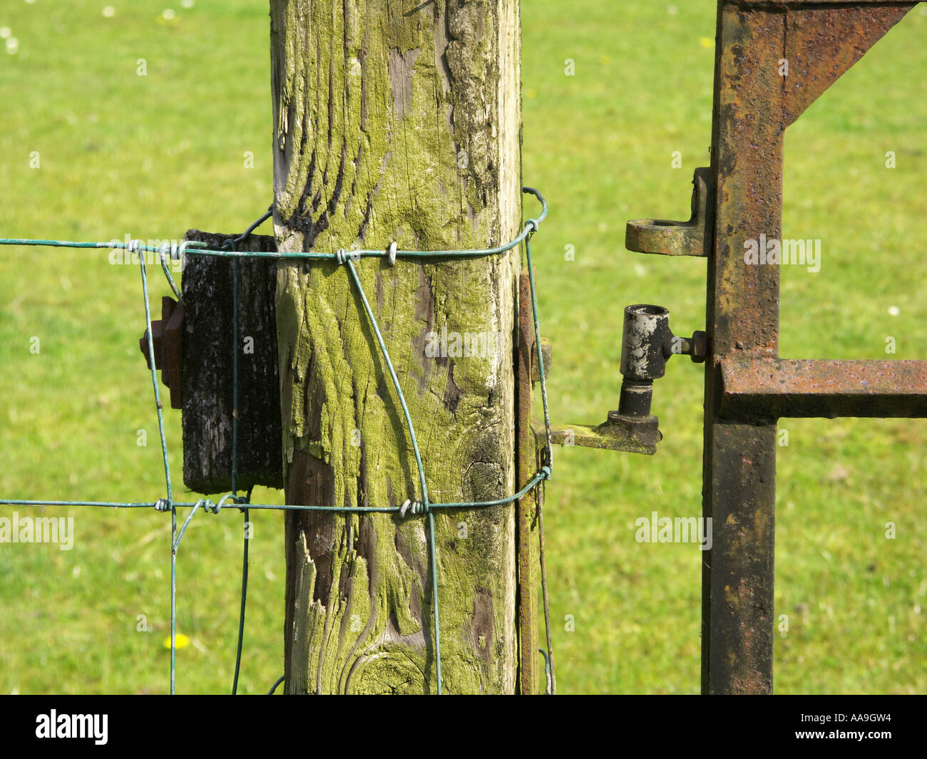 Rural gate gatepost with barbed wire Stock Photo - Alamy