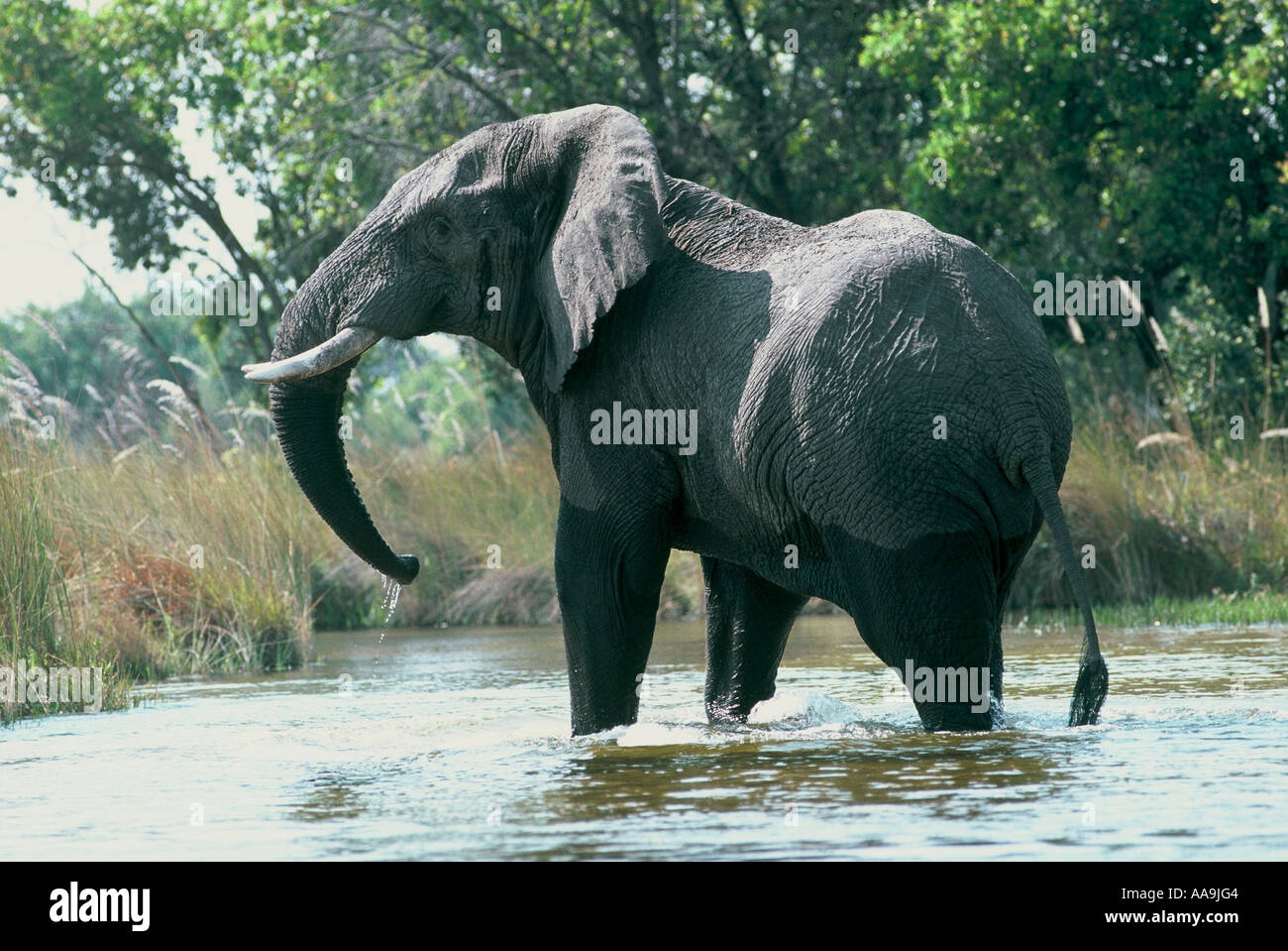 Boro river hi-res stock photography and images - Alamy