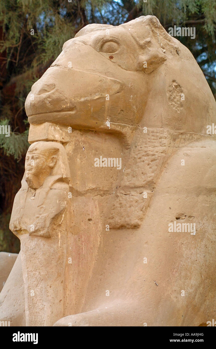 Ram Headed Sphinx holding a statue of Ramses II at the entrance to ...